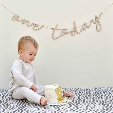 First Birthday Party Supplies | First Birthday Party Decorations ...